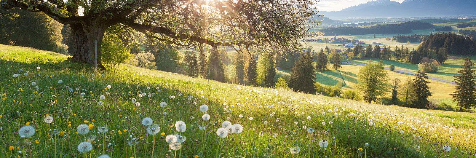 Nuevo gas refrigerante R32 de Mitsubishi Electric.